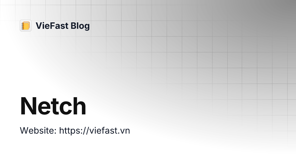 Netch | VieFast Blog